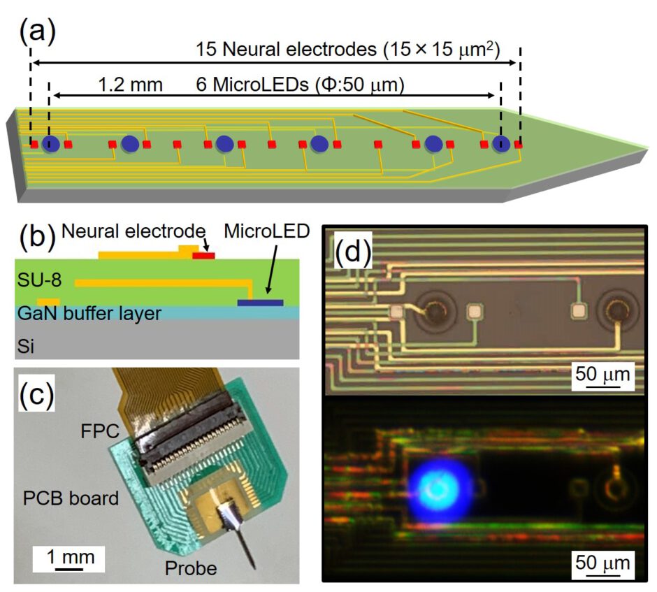 Micro LEDs for medical applications: ALLOS’ GaN-on-Si epiwafers are ...
